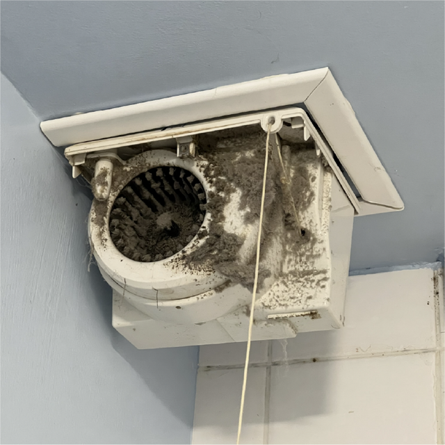 Extractor Fans – Ventilation Service